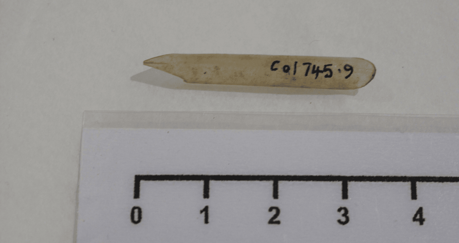 The Challenge of Quill Pens - Random Bits of Fascination