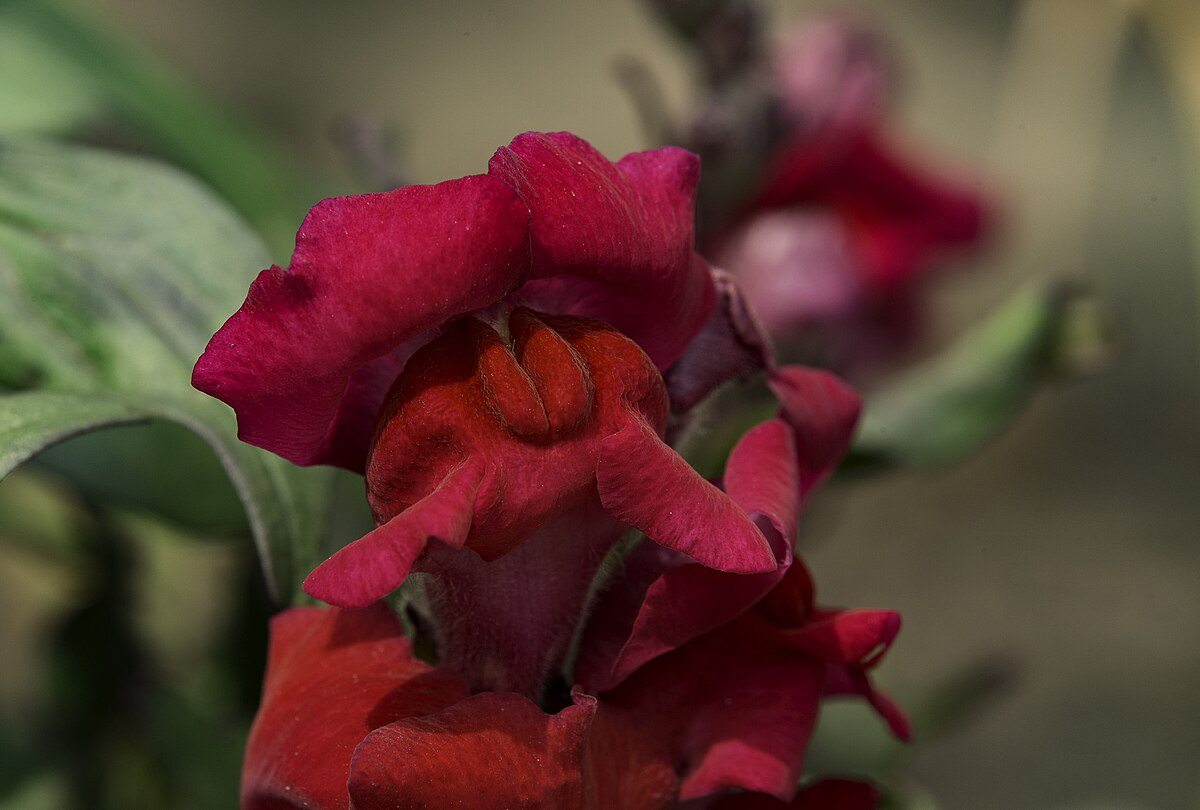 Random Bits of Fascination - Creating Characters with Character